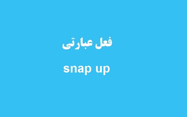 کاربرد و معنی snap up چیست؟ - زبانشناس